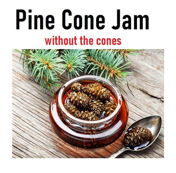 Pine cone Jam | Glass Jar | 460g – TurkishMart